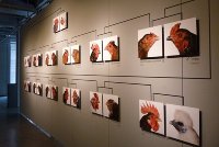 The Identity Movement - neringa100