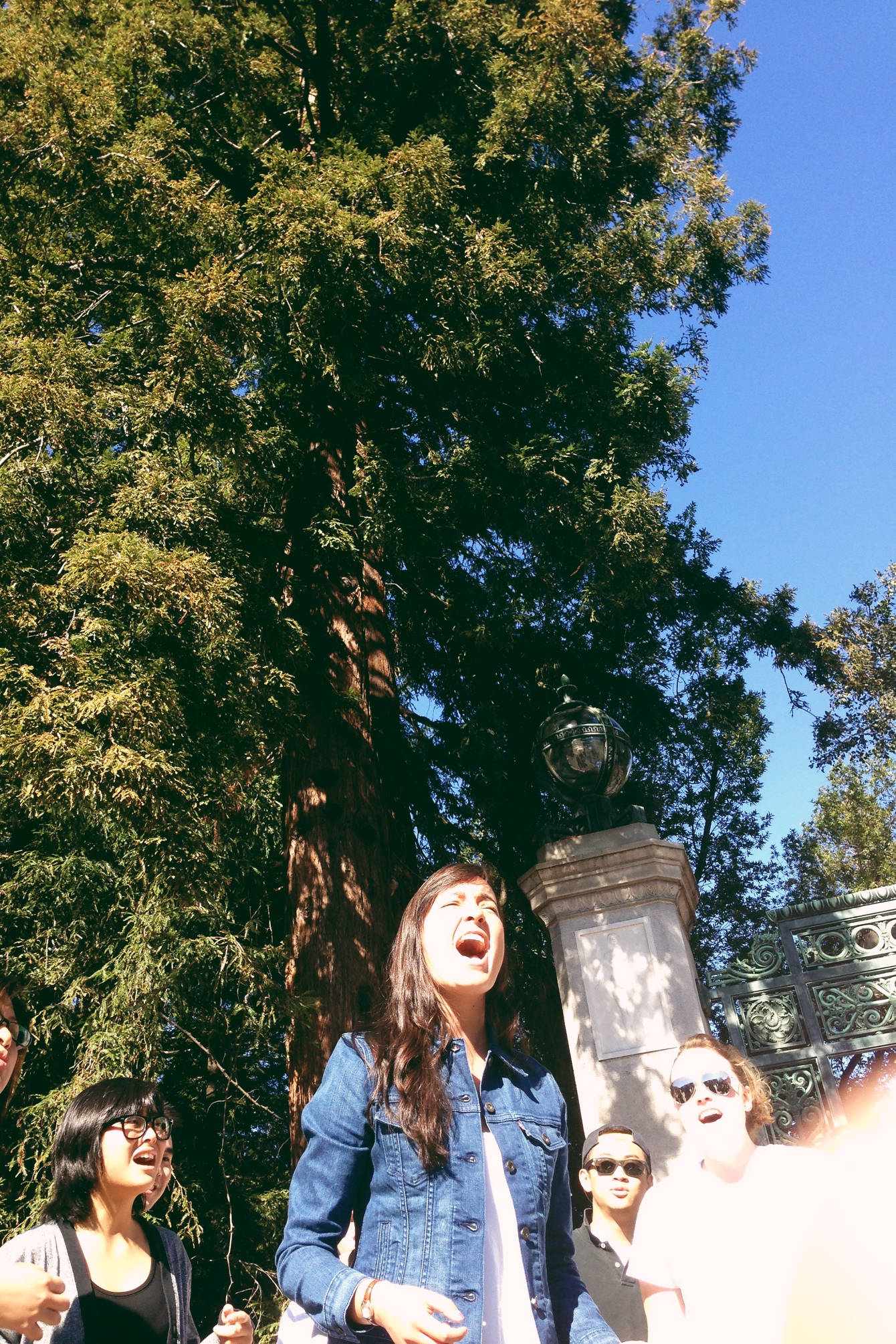 THE PORTRAIT SERIES - Logan Moy