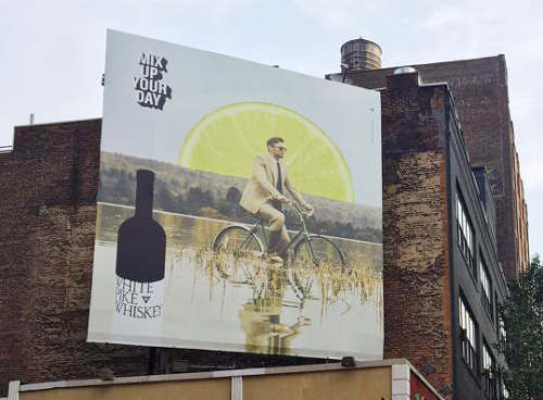 White Pike - Gage Young