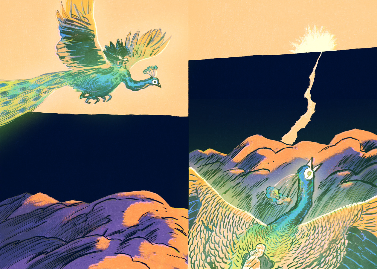 - shingal - mikkel sommer