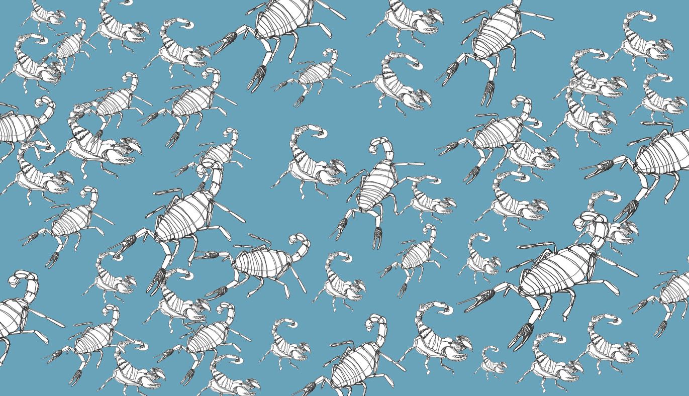 Slugs Insects And Worms Anna Šebestová