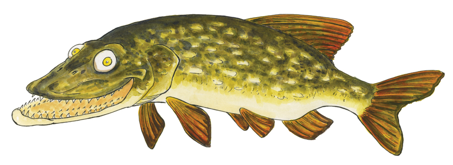 FISHES! - toddbalthazor