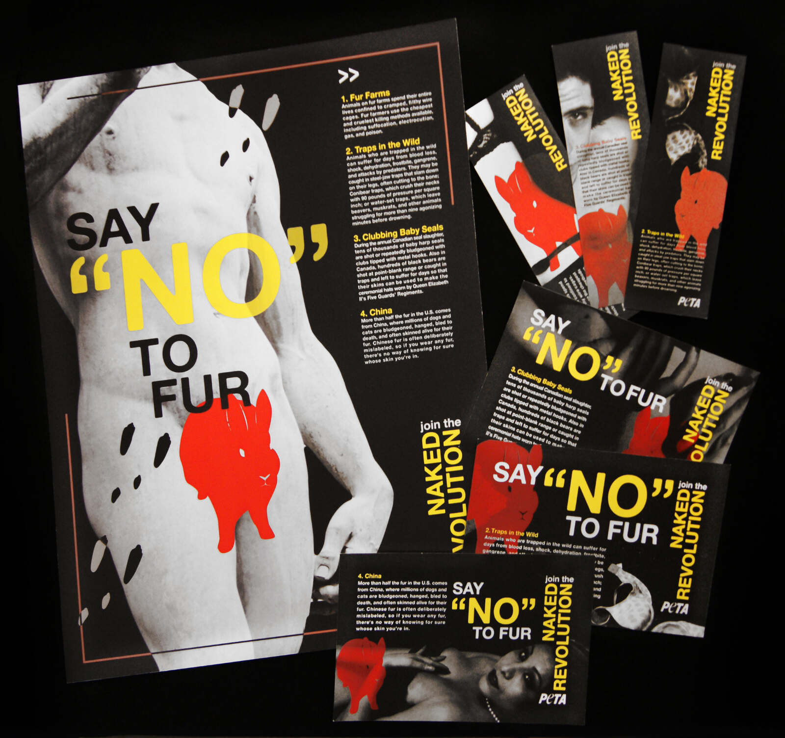 Social Issues Campaign - nlo designs