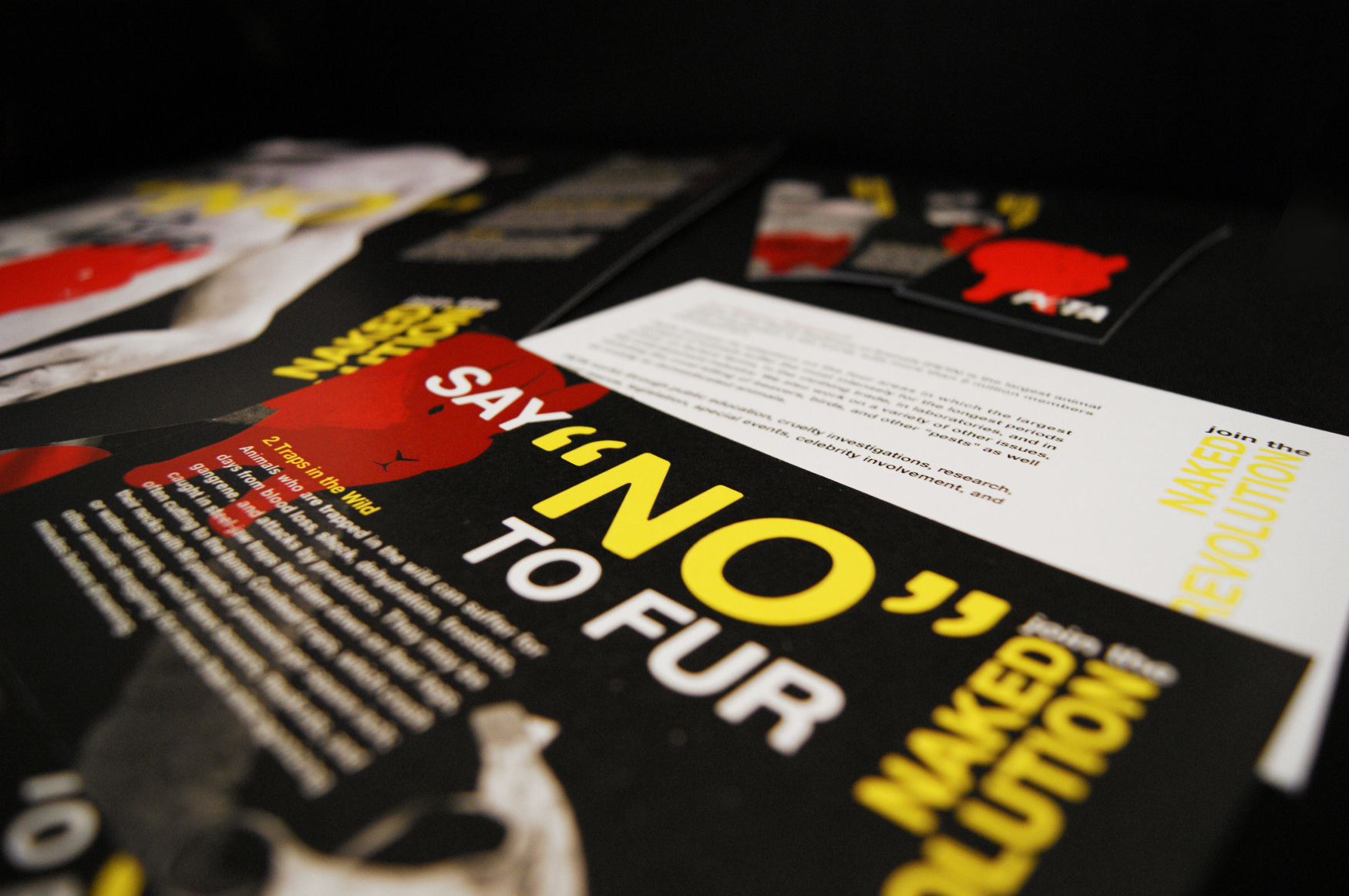 Social Issues Campaign - nlo designs