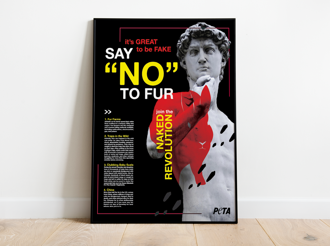 Social Issues Campaign - nlo designs