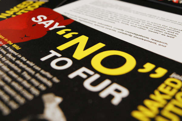 Social Issues Campaign - nlo designs