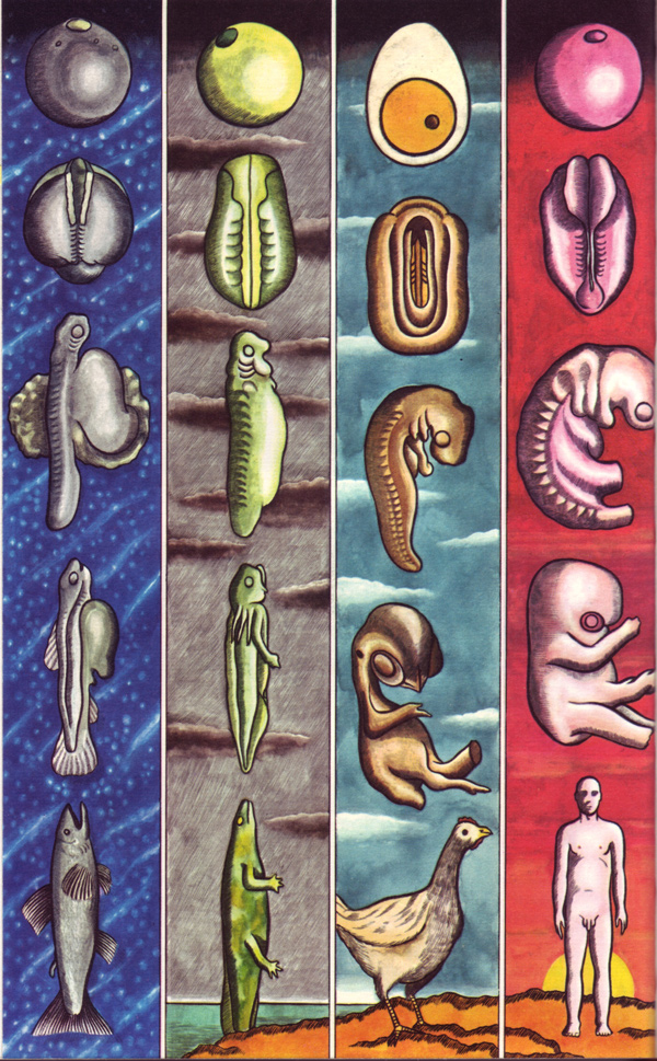 Voyage Fantastique vol.2 (Embryos in Space) - 50 Watts