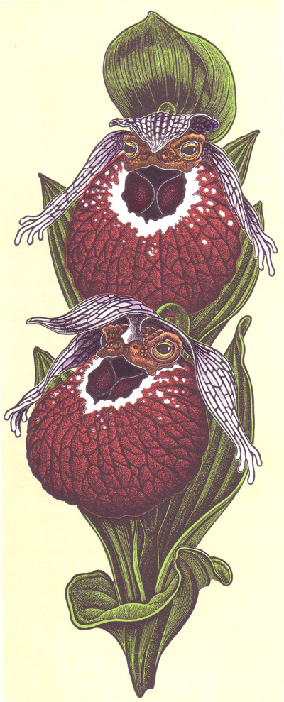 Mimpish Squinnies - 50 Watts