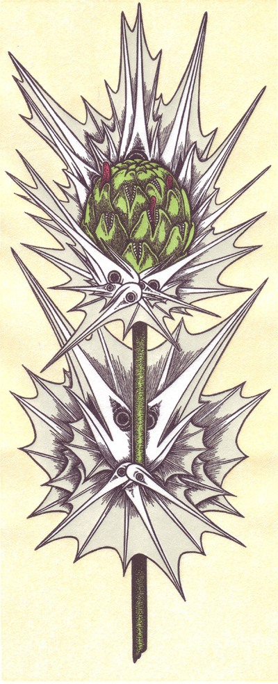 Mimpish Squinnies - 50 Watts