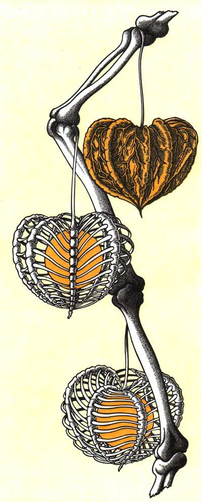 Mimpish Squinnies - 50 Watts