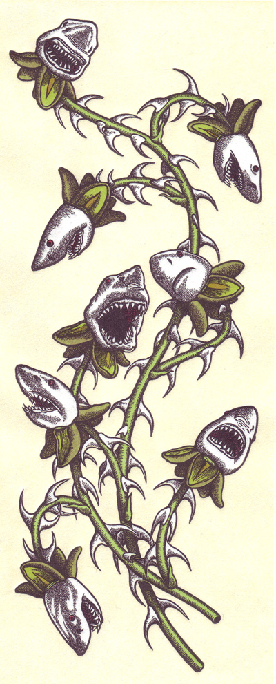 Mimpish Squinnies - 50 Watts