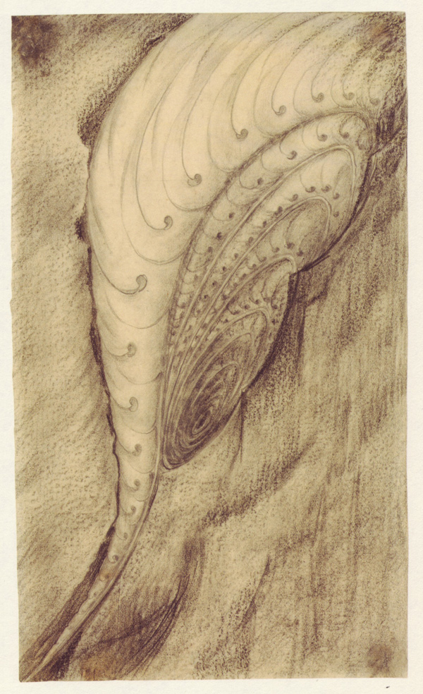 Go forth and picture this - Hermann Obrist's Superior Mirage - 50 Watts