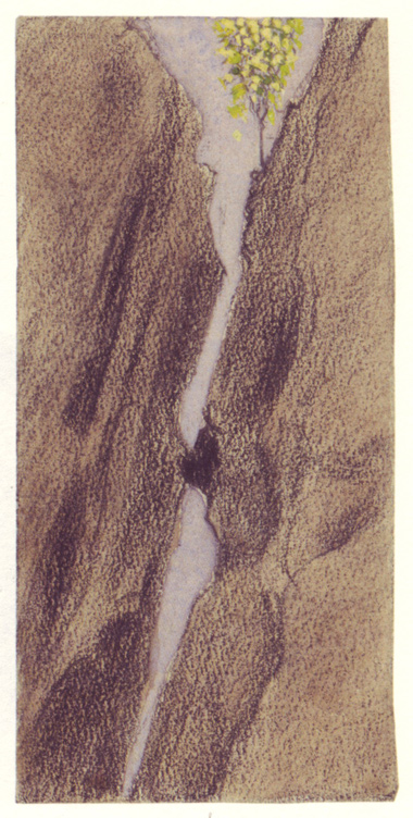 Go forth and picture this - Hermann Obrist's Superior Mirage - 50 Watts