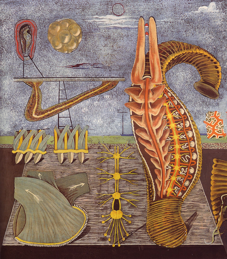 Max Ernst Certified Organic - 50 Watts