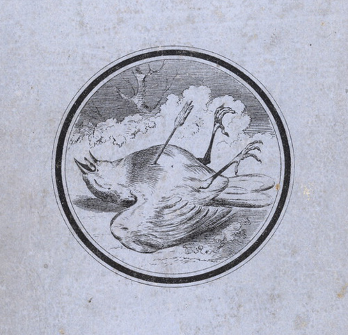 Death and Burial of Poor Cock Robin - 50 Watts