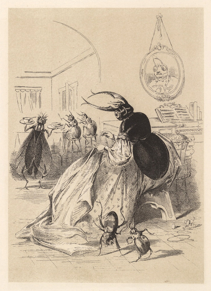 Death and Burial of Poor Cock Robin - 50 Watts