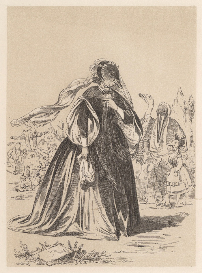 Death and Burial of Poor Cock Robin - 50 Watts