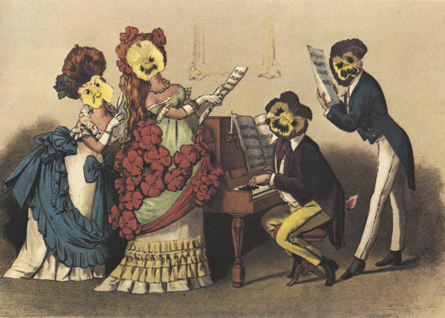 Viola Tricolor - 50 Watts