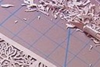 Paper Cuts Art Show - elaine penwell