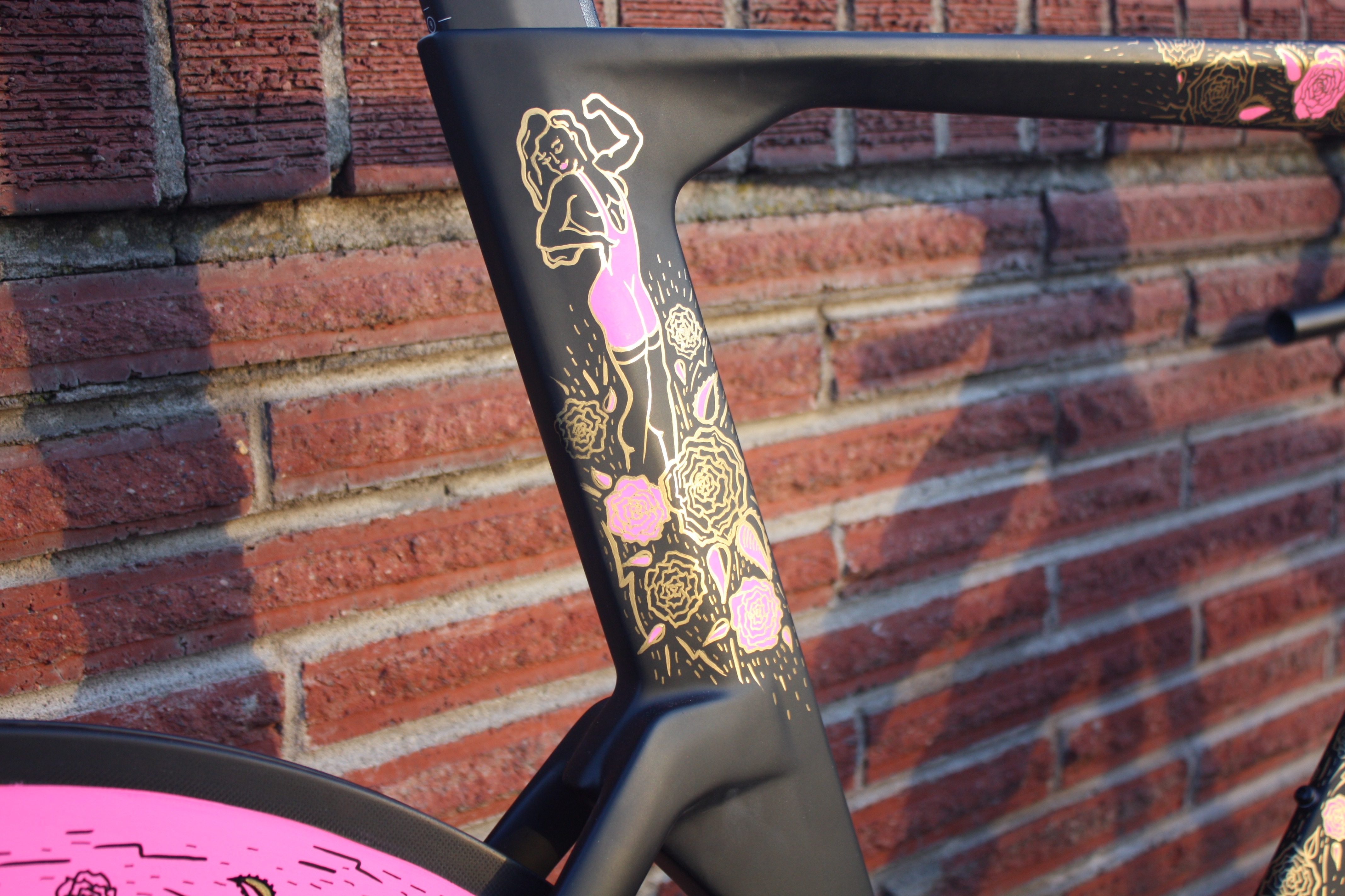 Denver Art Bike - Lindsay Martin Design