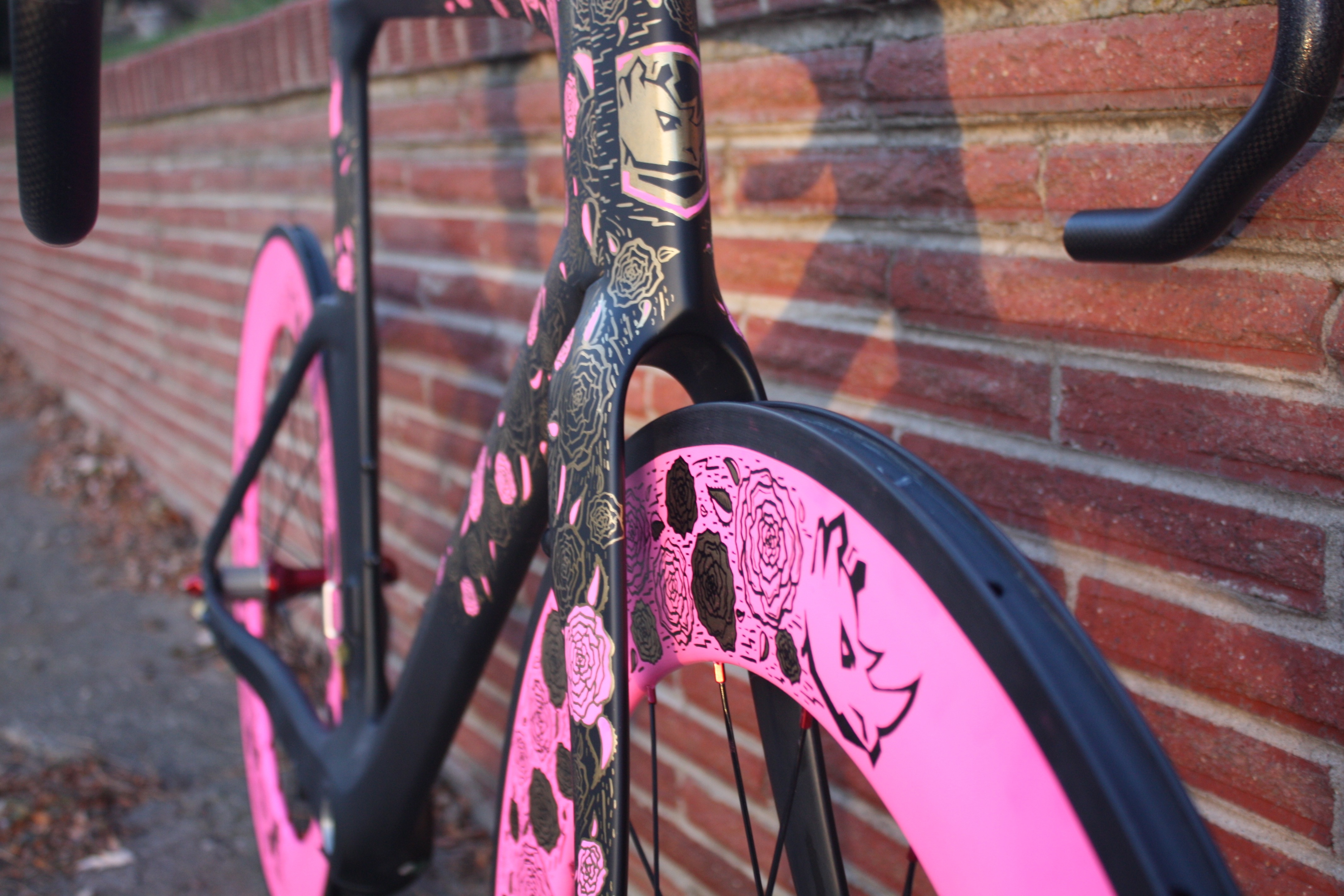 Denver Art Bike - Lindsay Martin Art & Design