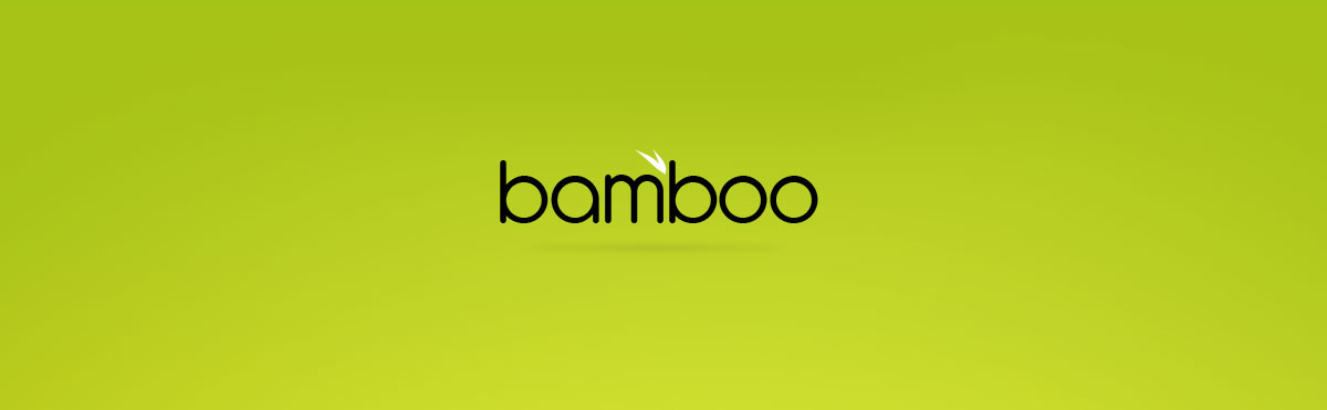 Bamboo Intranet - UX/UI Lead Designer