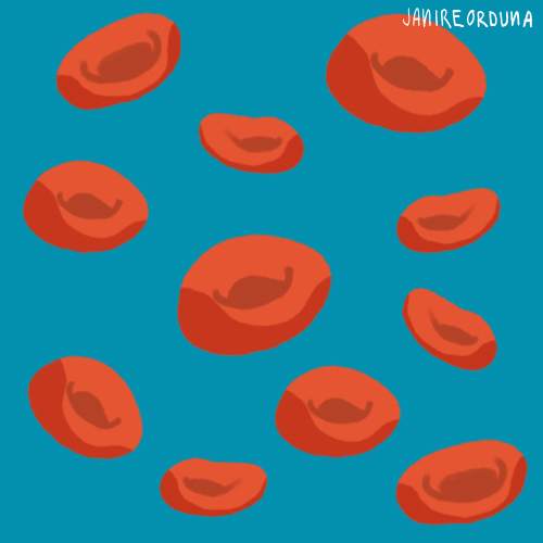 BIZKAISIDA-Imagen congreso - JANIREORDUNA