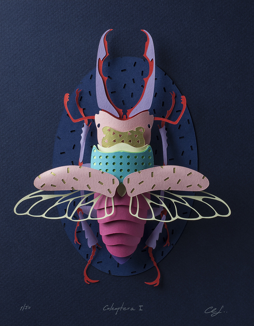 Coleoptera #1 #2 and #3 :: Paper sculpture series for sale - carlogiovani