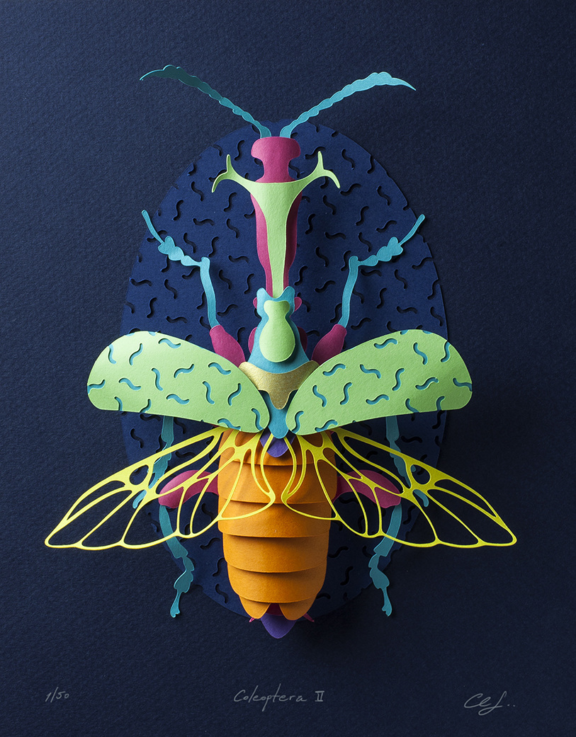 Coleoptera #2 :: Paper sculpture series for sale - carlogiovani