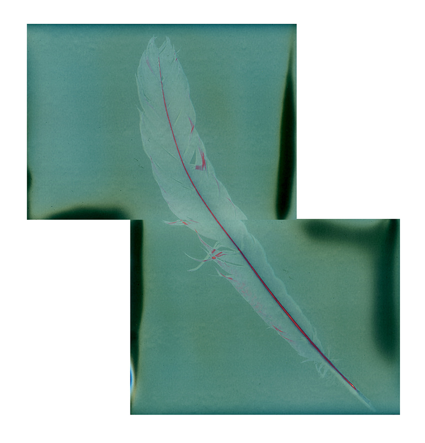 Lumen Prints - Sara Moralo