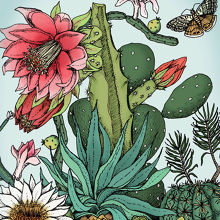Annie Davidson - Graphic Design