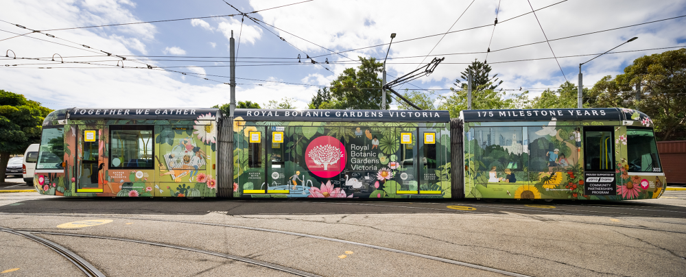 TRAM WRAP FOR YARRA TRAMS - Annie Davidson - Graphic Design