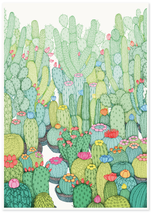 CACTI SERIES - Annie Davidson - Graphic Design