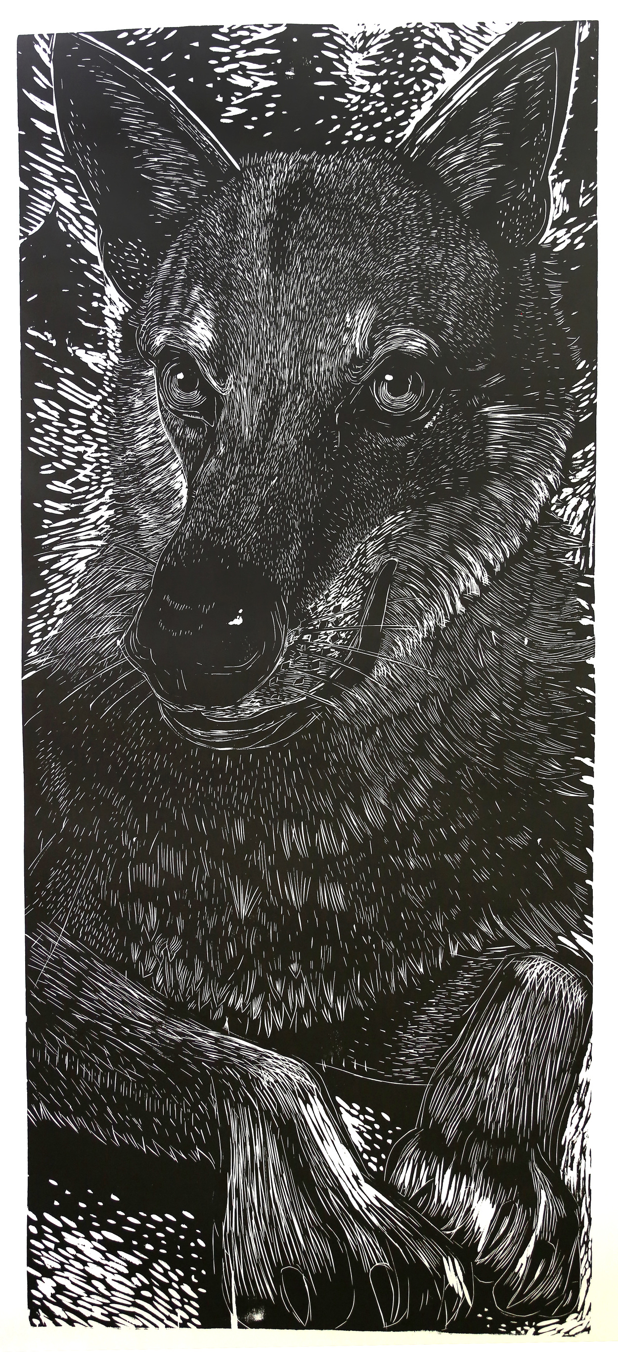 Woodcuts - carlosllerena