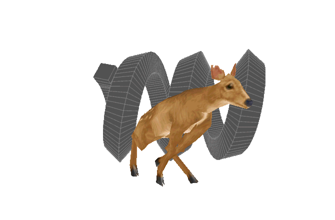 Personal Work - Tim Nolan