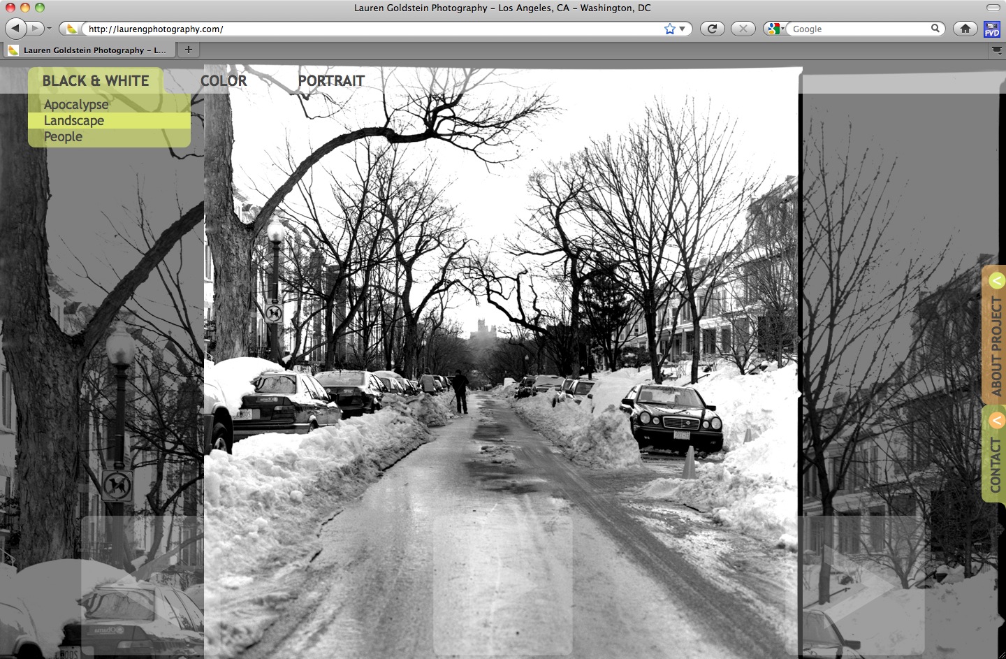 Lauren Goldstein Photography - Curiosities of Curiouser Creative Studio