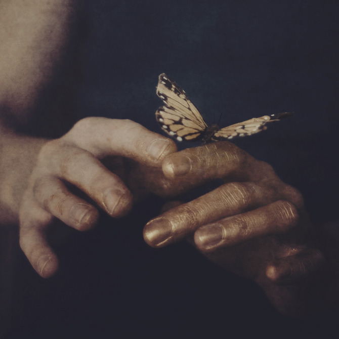 Luminous Photography