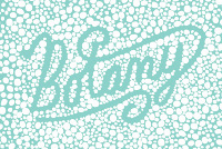 Type Points: A Guide - Sara Rubinett