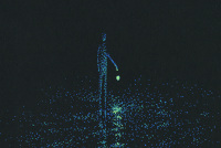 The Art of Brian Luong