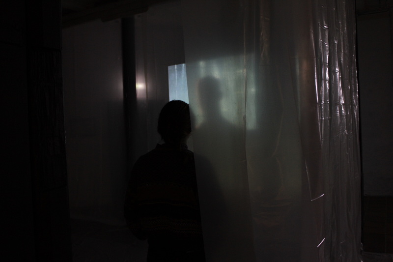 Habitable Surfaces - sivehamilton