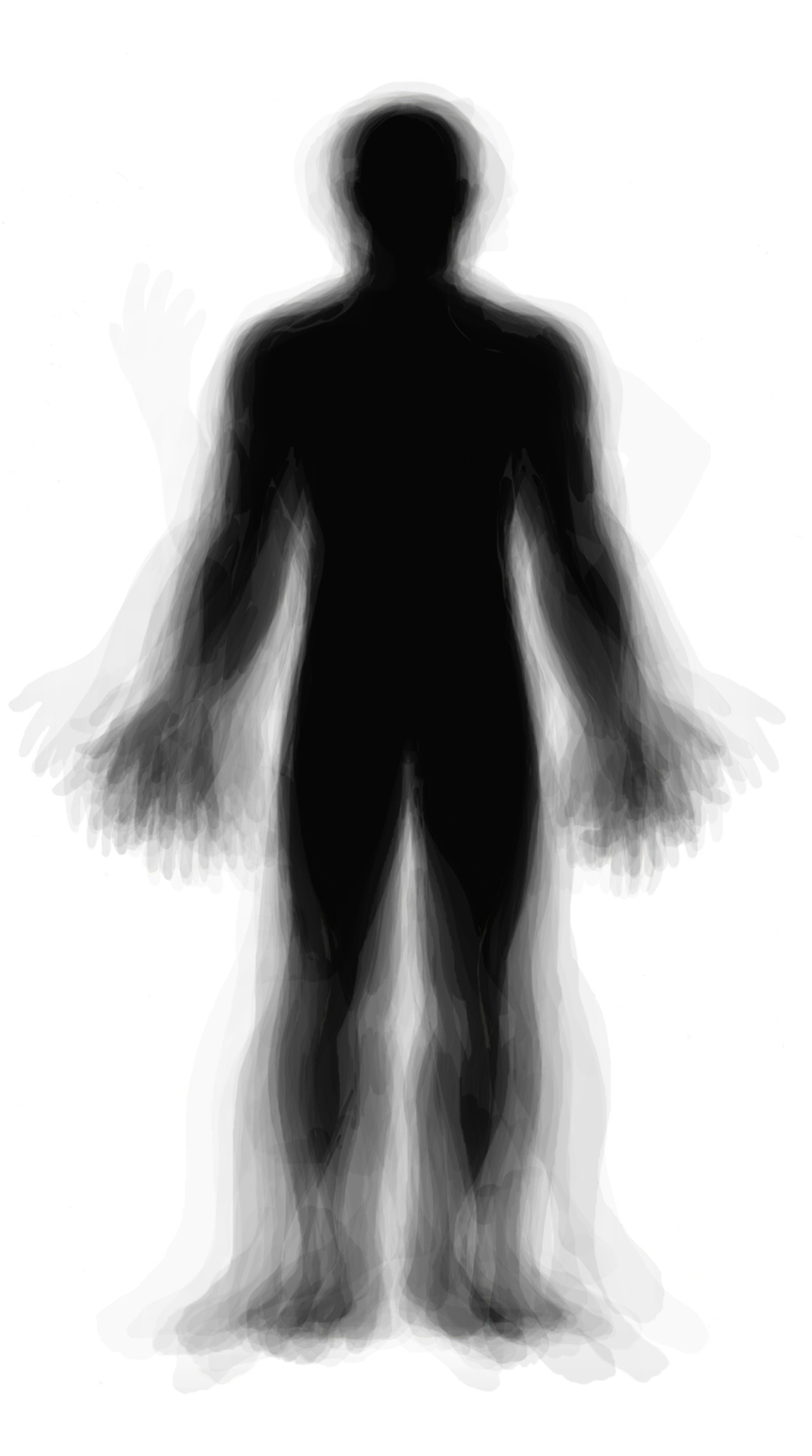 The Differentiated Body - The Female Body