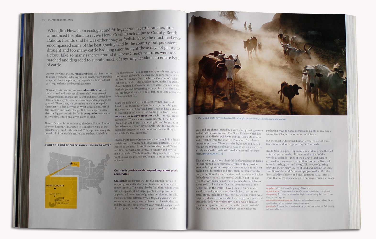 Environmental Science - marie grunenberger