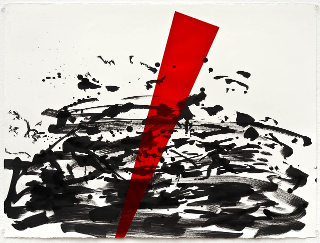 EMILY JOYCE—Sun Burn (burned) - Gray Area Print