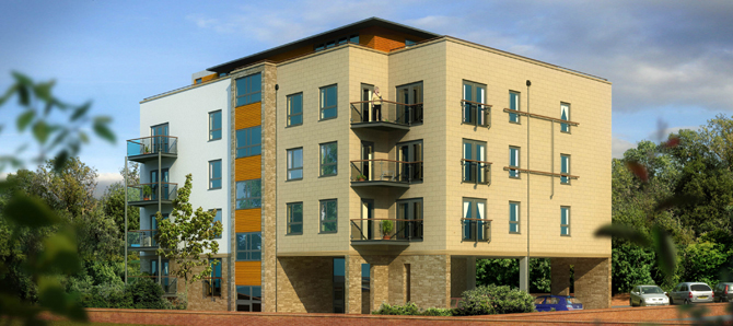 Star Design and Build