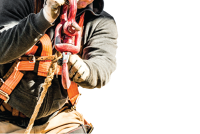 Robert Bellavia Design