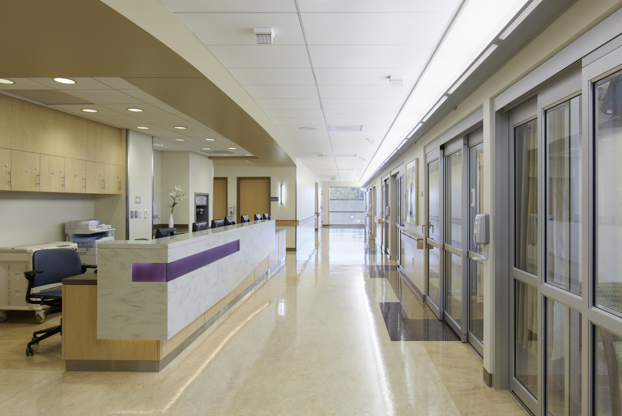 UCSD Sulpizio Family CVC - Design Portfolio