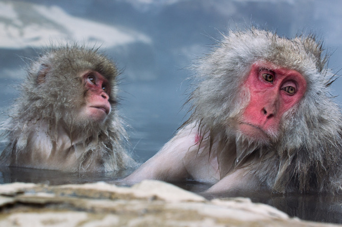 matt watkinson's landscape and car photos