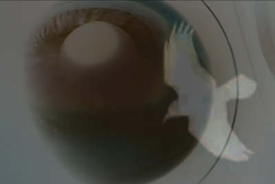 Contort Yourself - Jennifer R Wicks