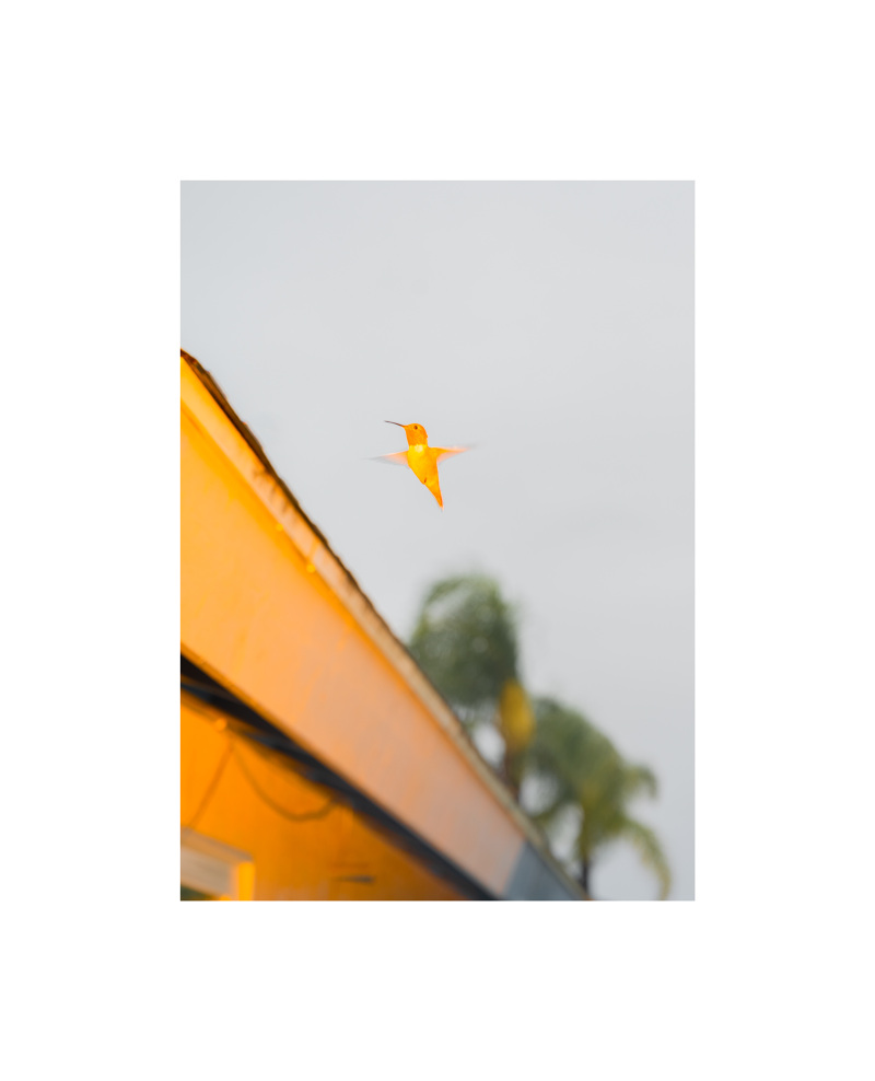 selected photographs - Daqi