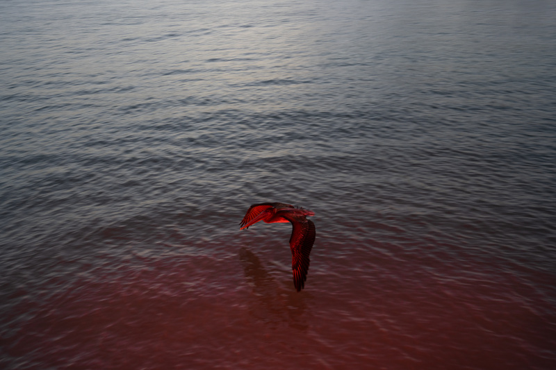 selected photographs - Daqi